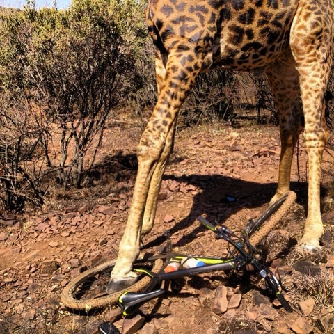 April | 2014 | Speak Up For The Voiceless - International Animal Rescue ...